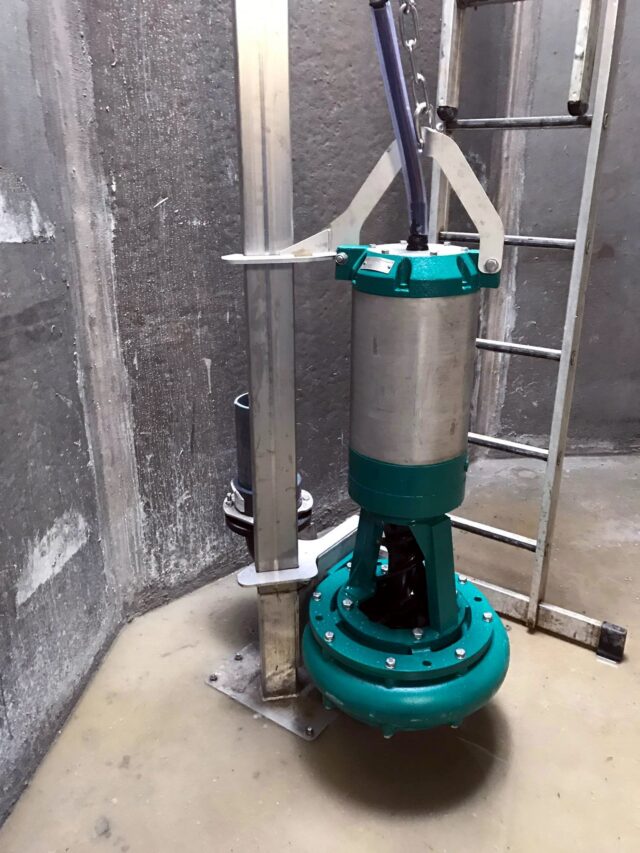 Stallkamp Pumps - Tramspread